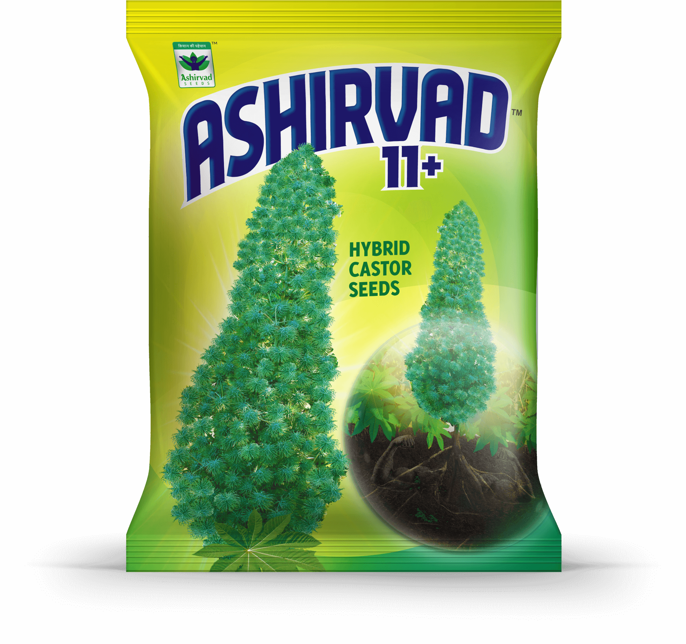Ashirvad Seeds